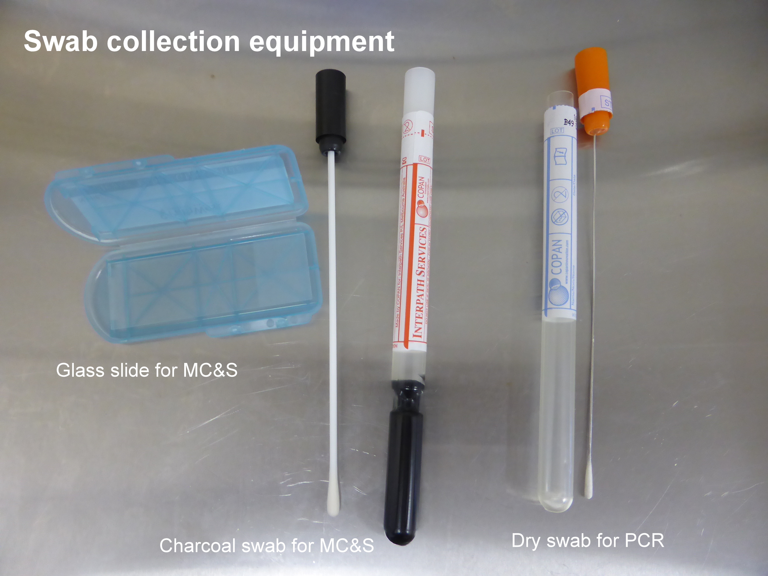 B&B Basics: The Gynaecological Examination | Bits & Bumps